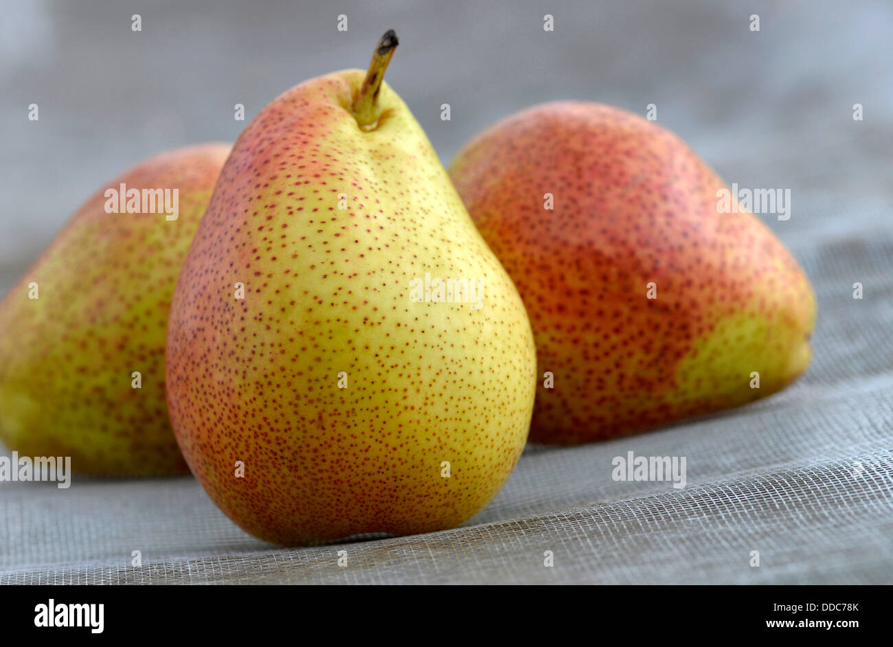 Forelle variety of pear fruit Stock Photo - Alamy