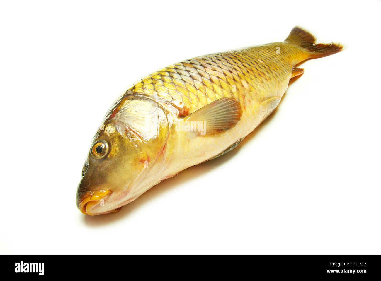 Fish preparing Cut Out Stock Images & Pictures - Alamy