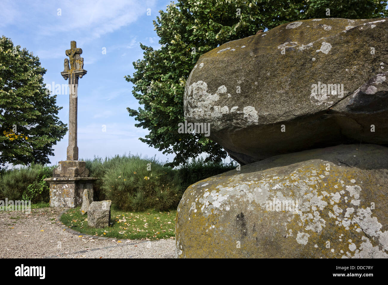 World of roses High Resolution Stock Photography and Images - Alamy
