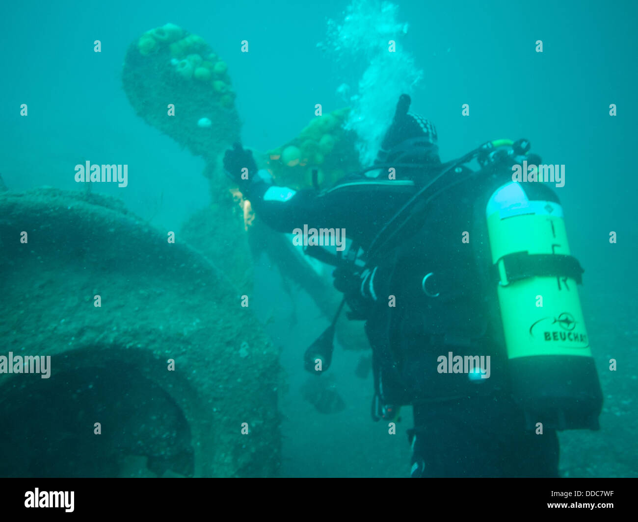 Scuba diving in Ireland Stock Photo - Alamy