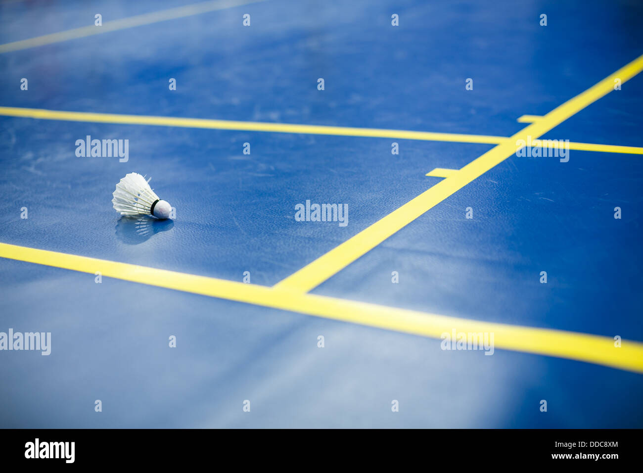 Badminton - badminton courts with two shuttlecocks Stock Photo - Alamy