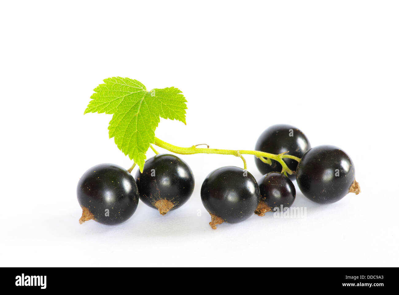 Currant cluster hi-res stock photography and images - Alamy