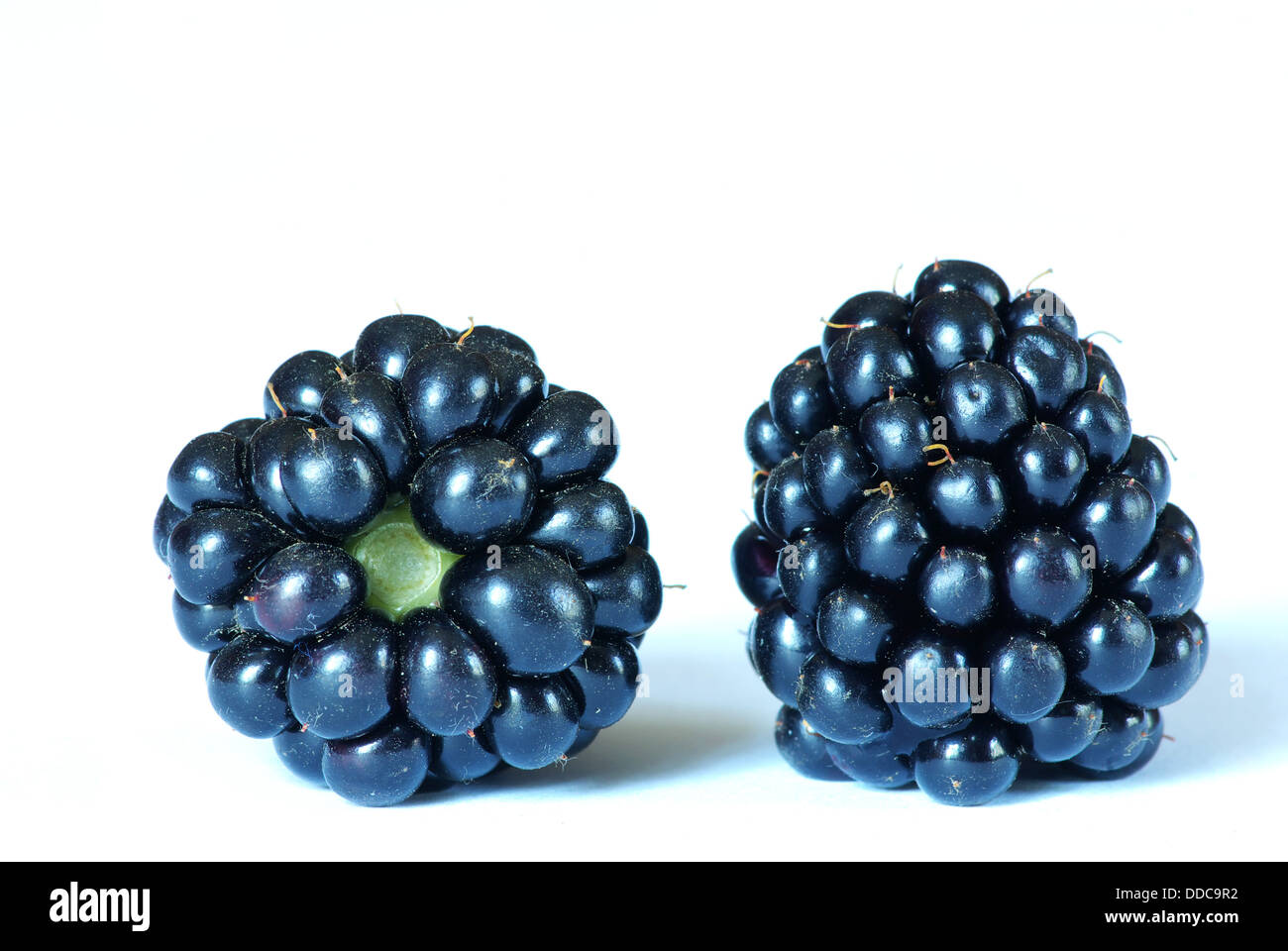 two of blackberries Stock Photo - Alamy