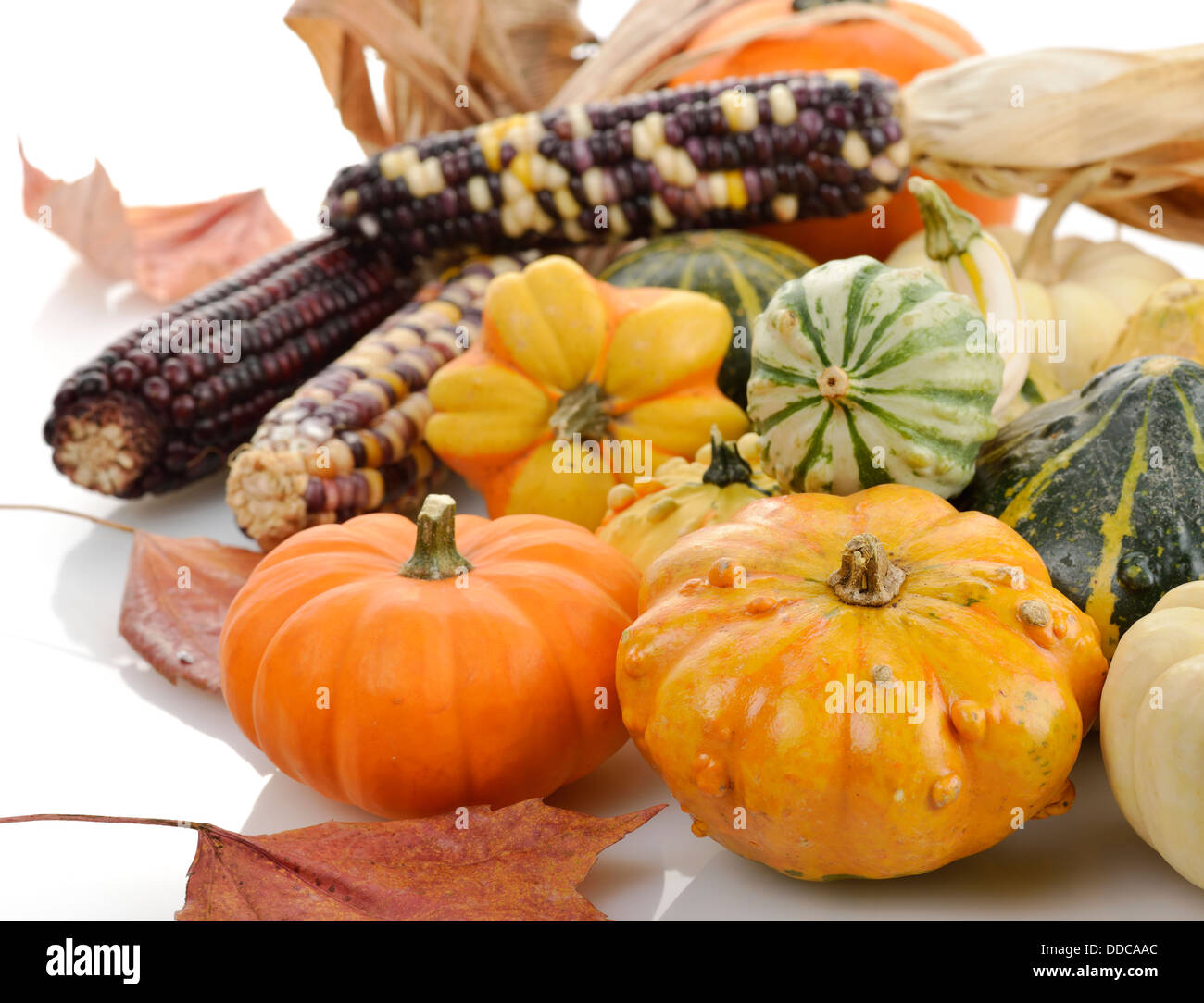 Indian corn small pumpkins hi-res stock photography and images - Alamy
