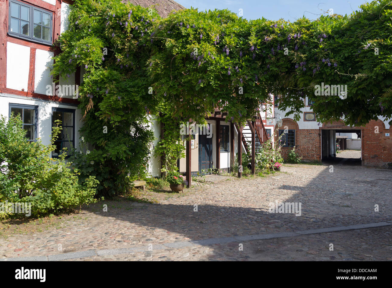 Typical backyard hi-res stock photography and images - Alamy