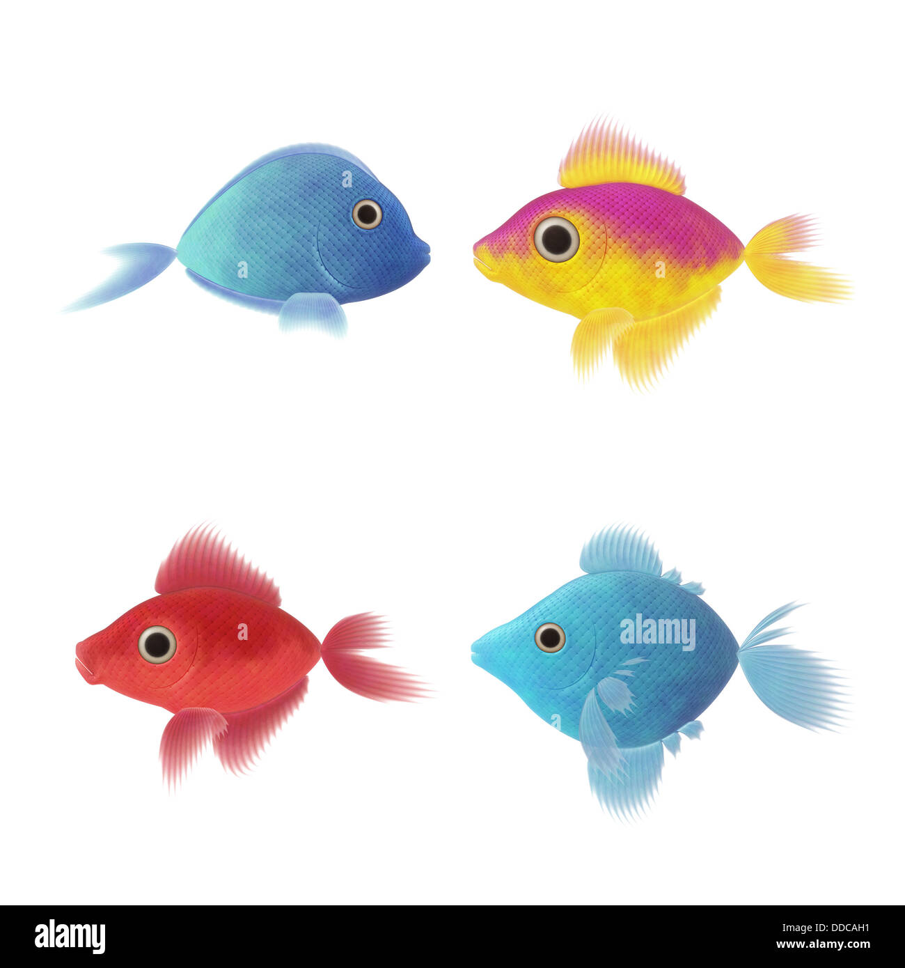 four fish illustrations Stock Photo - Alamy