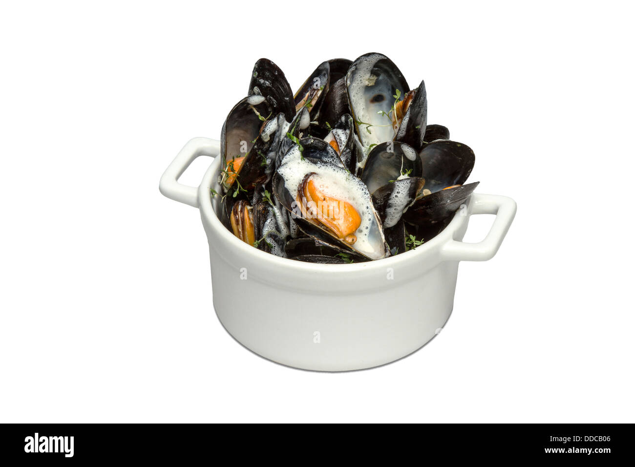 A pot full of mussels Stock Photo - Alamy
