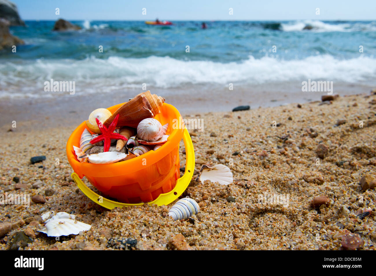 Bucket shells at the b each Stock Photo - Alamy