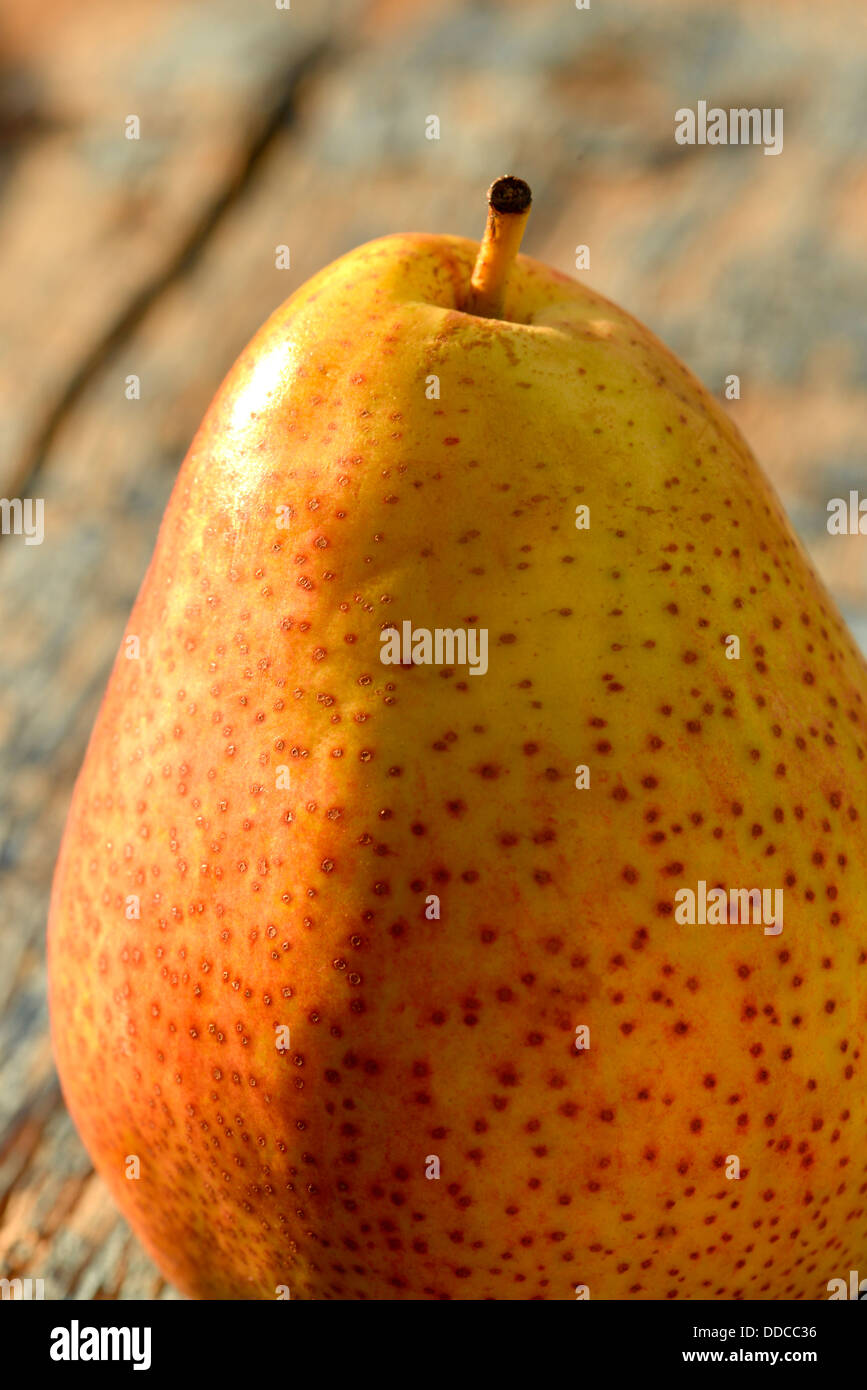 Forelle variety of pear fruit Stock Photo - Alamy