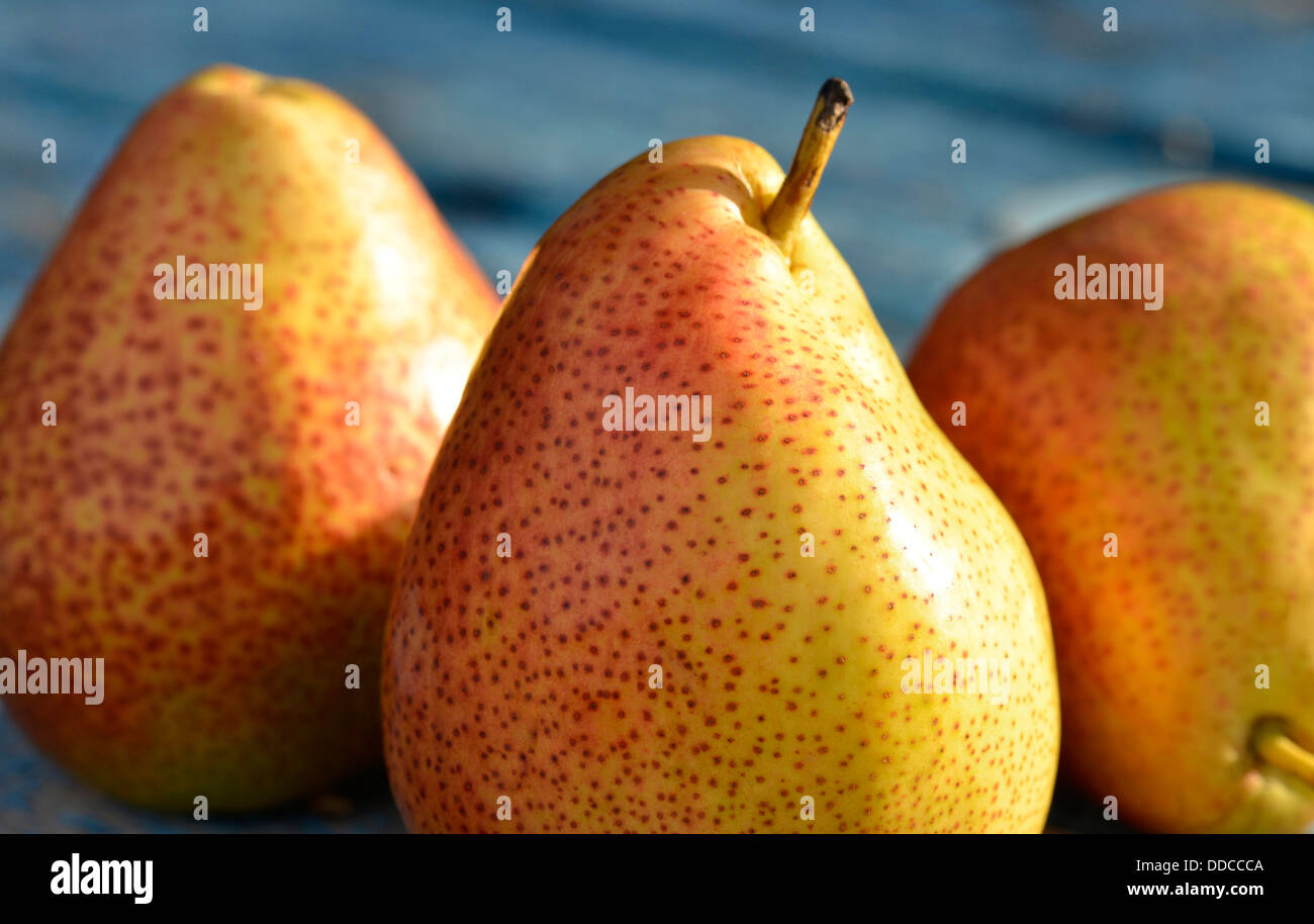 Forelle variety of pear fruit Stock Photo - Alamy