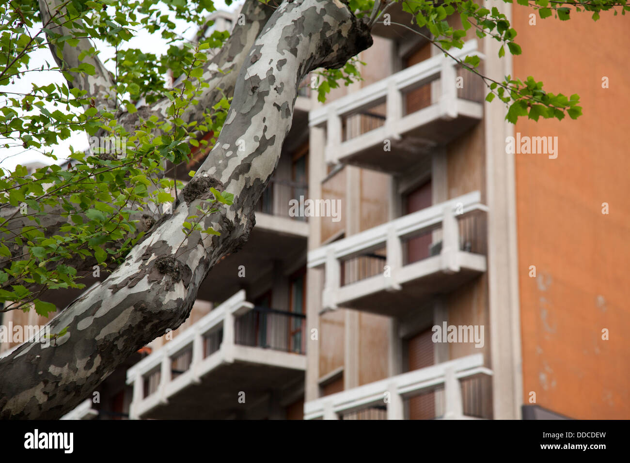Urban and nature hi-res stock photography and images - Alamy