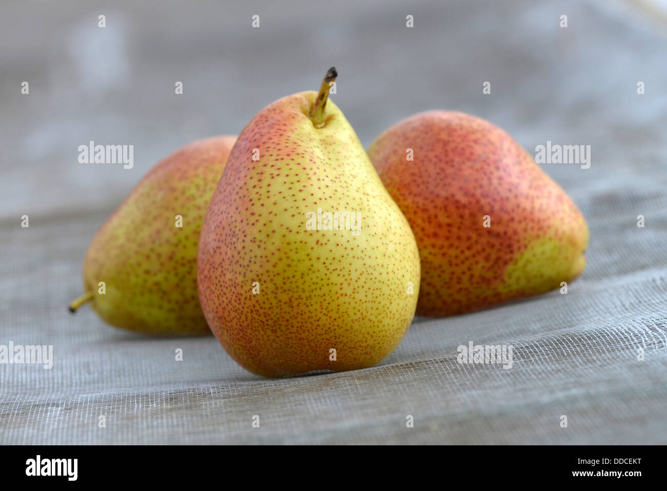 Forelle variety of pear fruit Stock Photo - Alamy