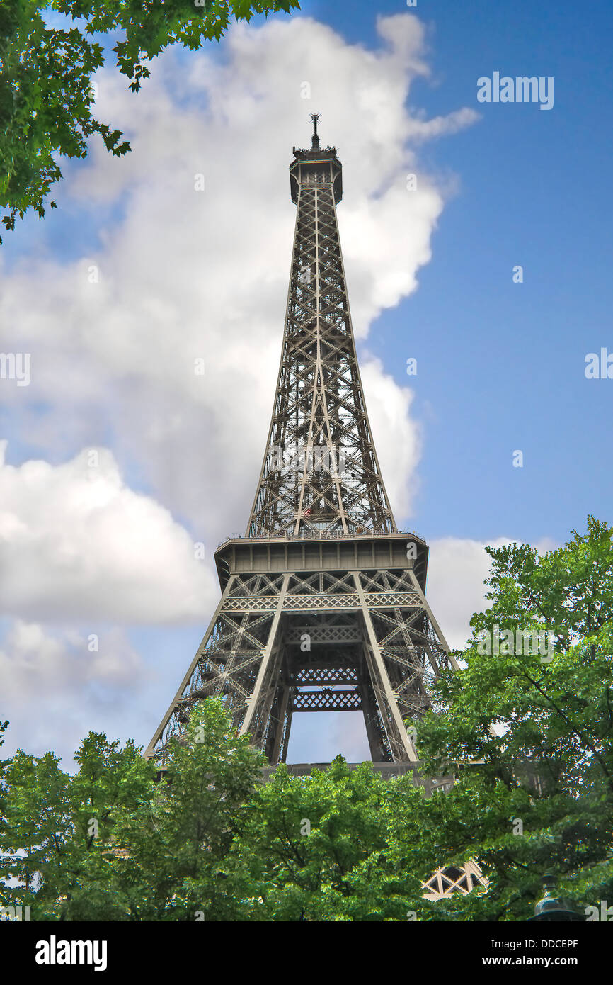 Trees in a park near Eiffel Tower. Paris. France Stock Photo - Alamy