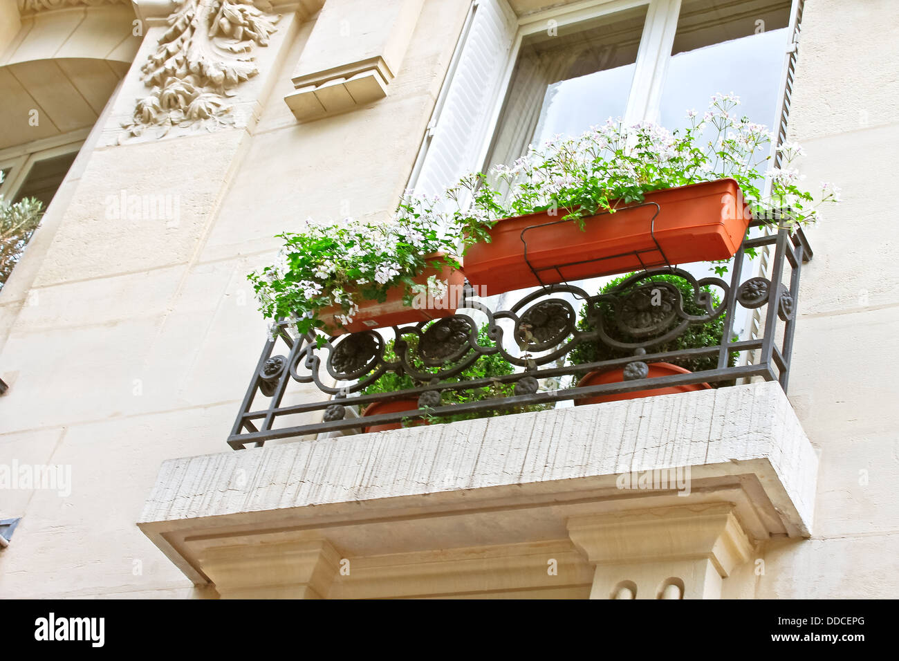Flowers on the window Parisian house. France Stock Photo - Alamy