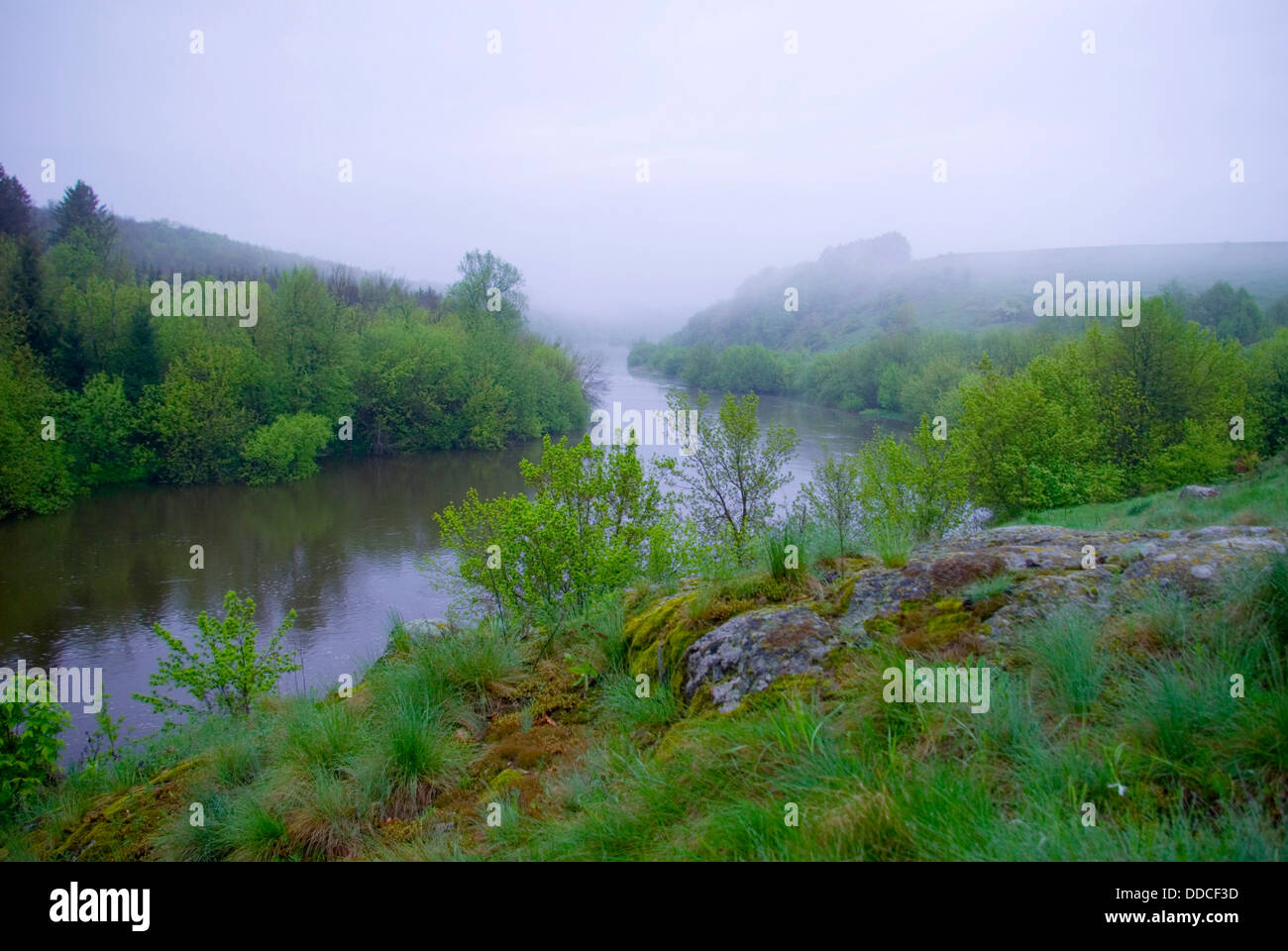 river and forest Stock Photo - Alamy