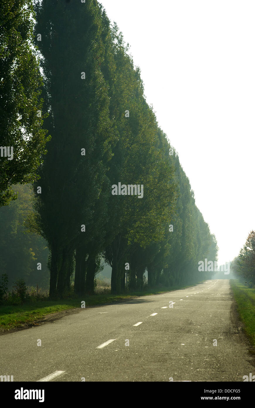 Double bend ahead road sign hi-res stock photography and images - Alamy