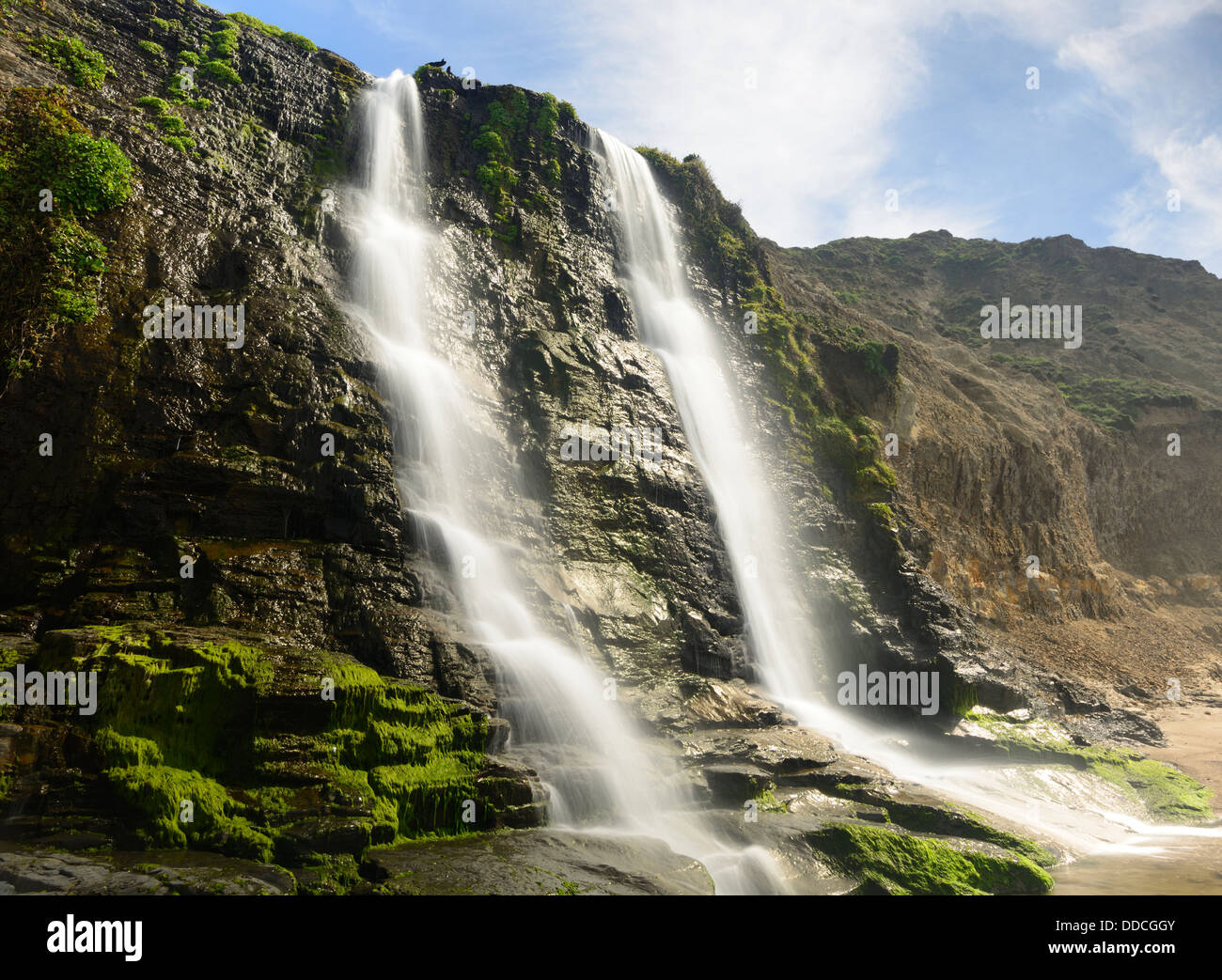 Alamere Falls waterfall tidefall wildcat beach point reyes national ...