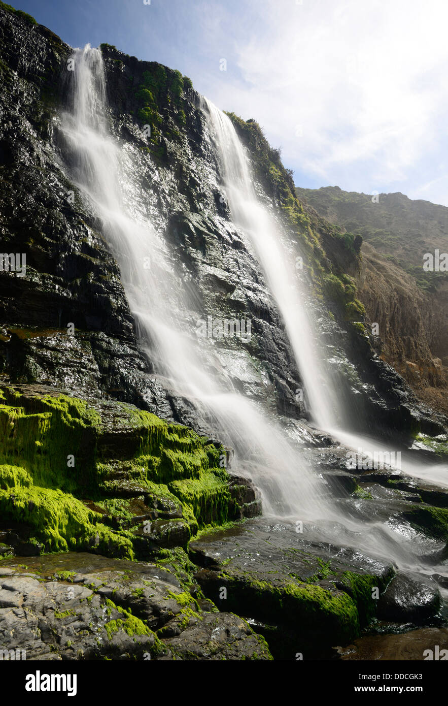 Alamere Falls waterfall tidefall wildcat beach point reyes national ...