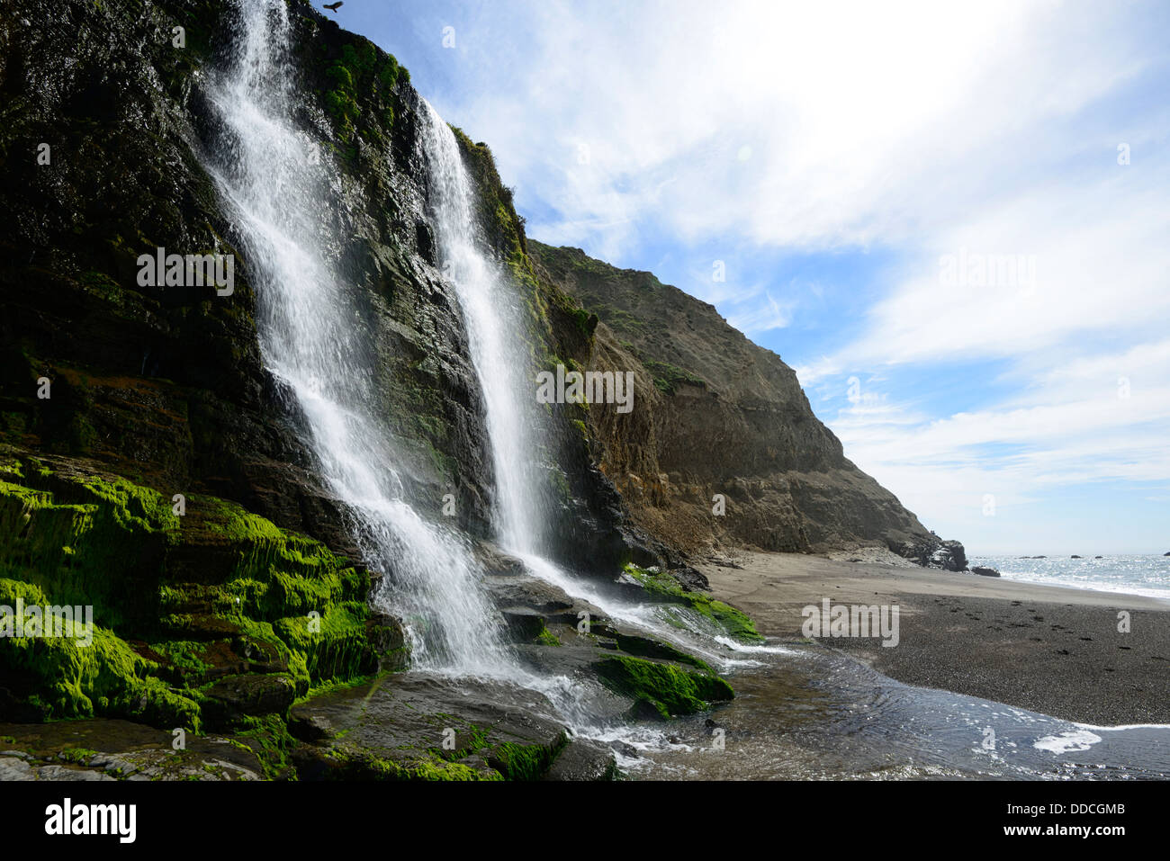 Alamere Falls waterfall tidefall wildcat beach point reyes national ...