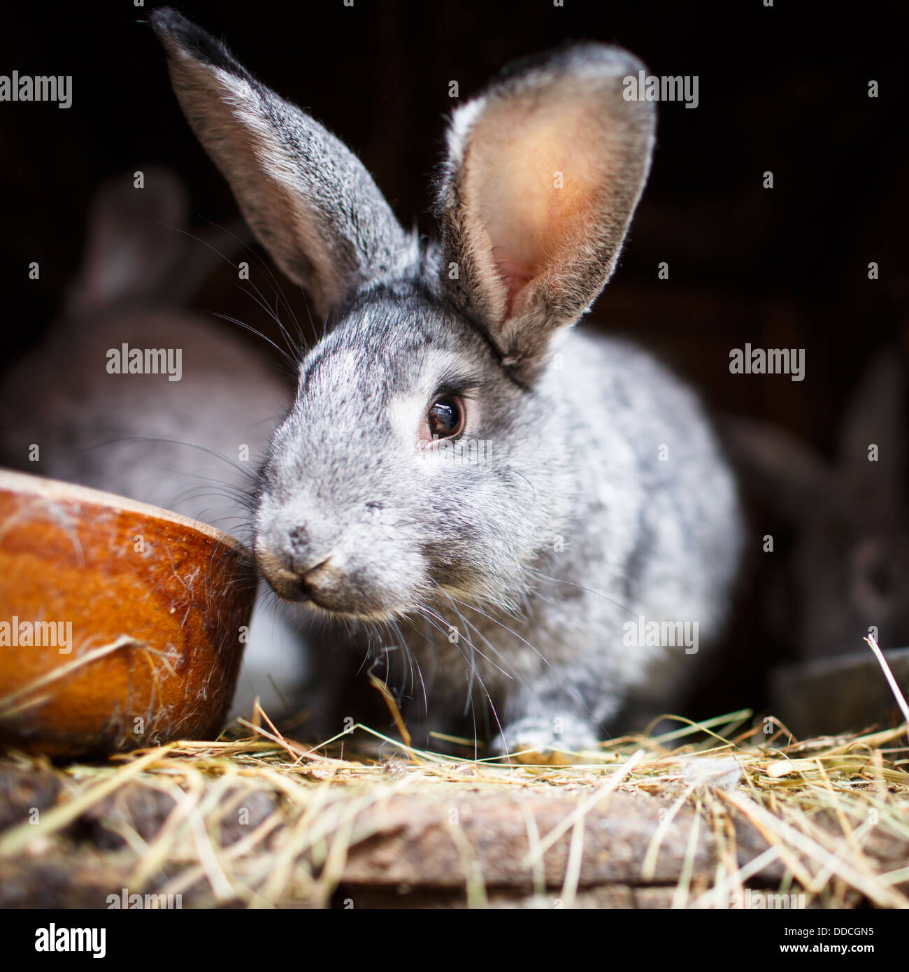 Ear popping hi-res stock photography and images - Alamy