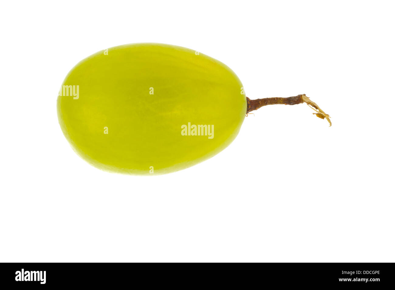 Green single grape hi-res stock photography and images - Alamy