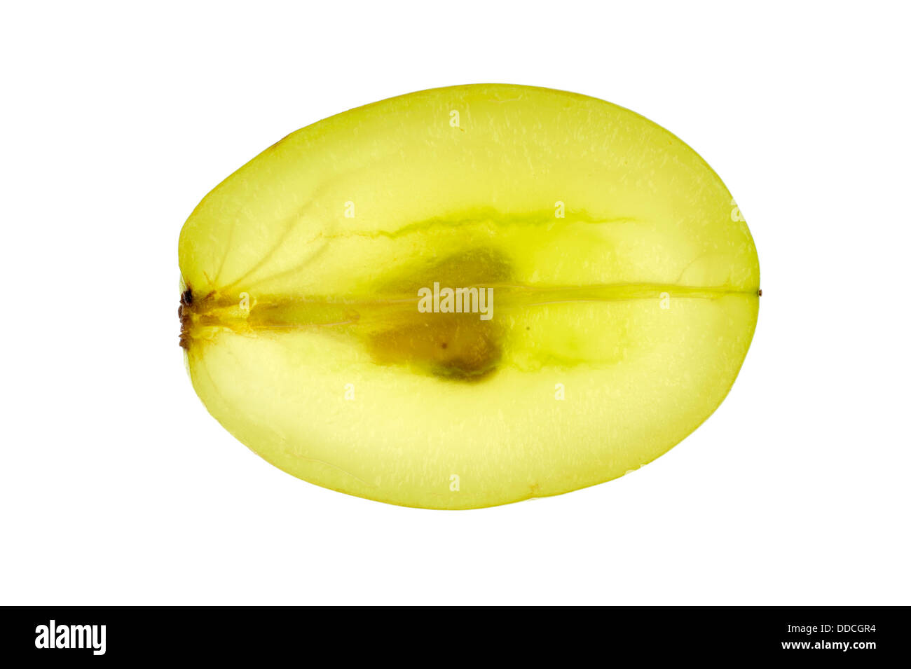 A green grape with grape-stones cut across and isolated in white Stock ...