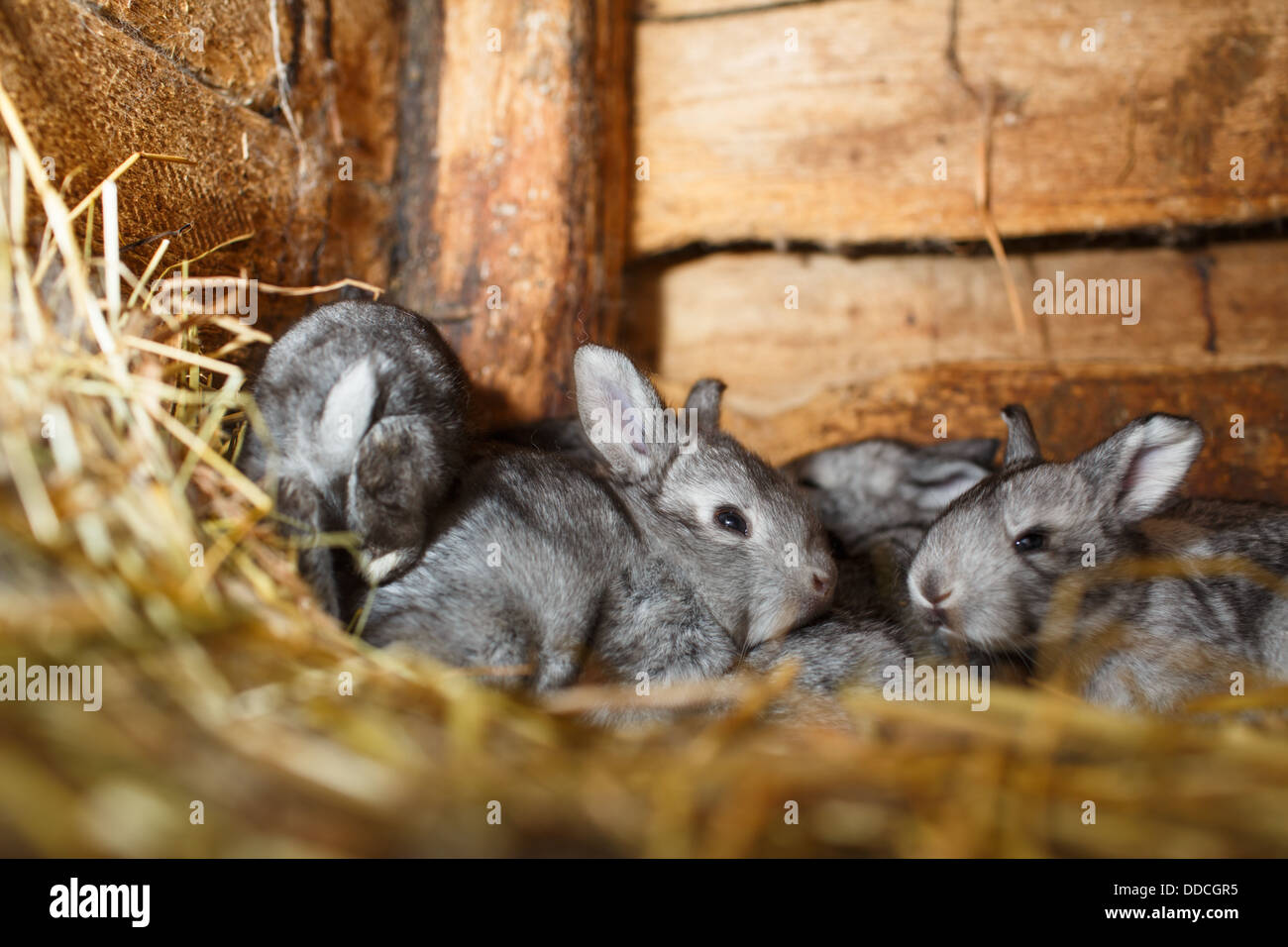 Ear popping hi-res stock photography and images - Alamy