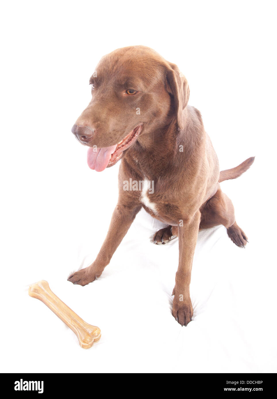 Full body view Cut Out Stock Images & Pictures - Alamy