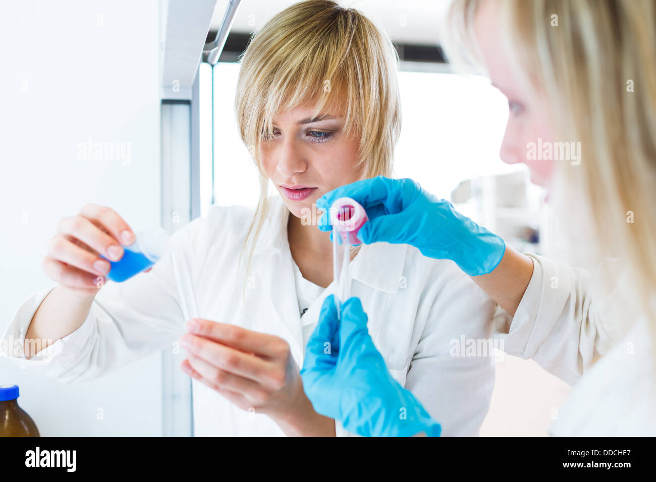 Two female researchers working in a laboratory Stock Photo - Alamy