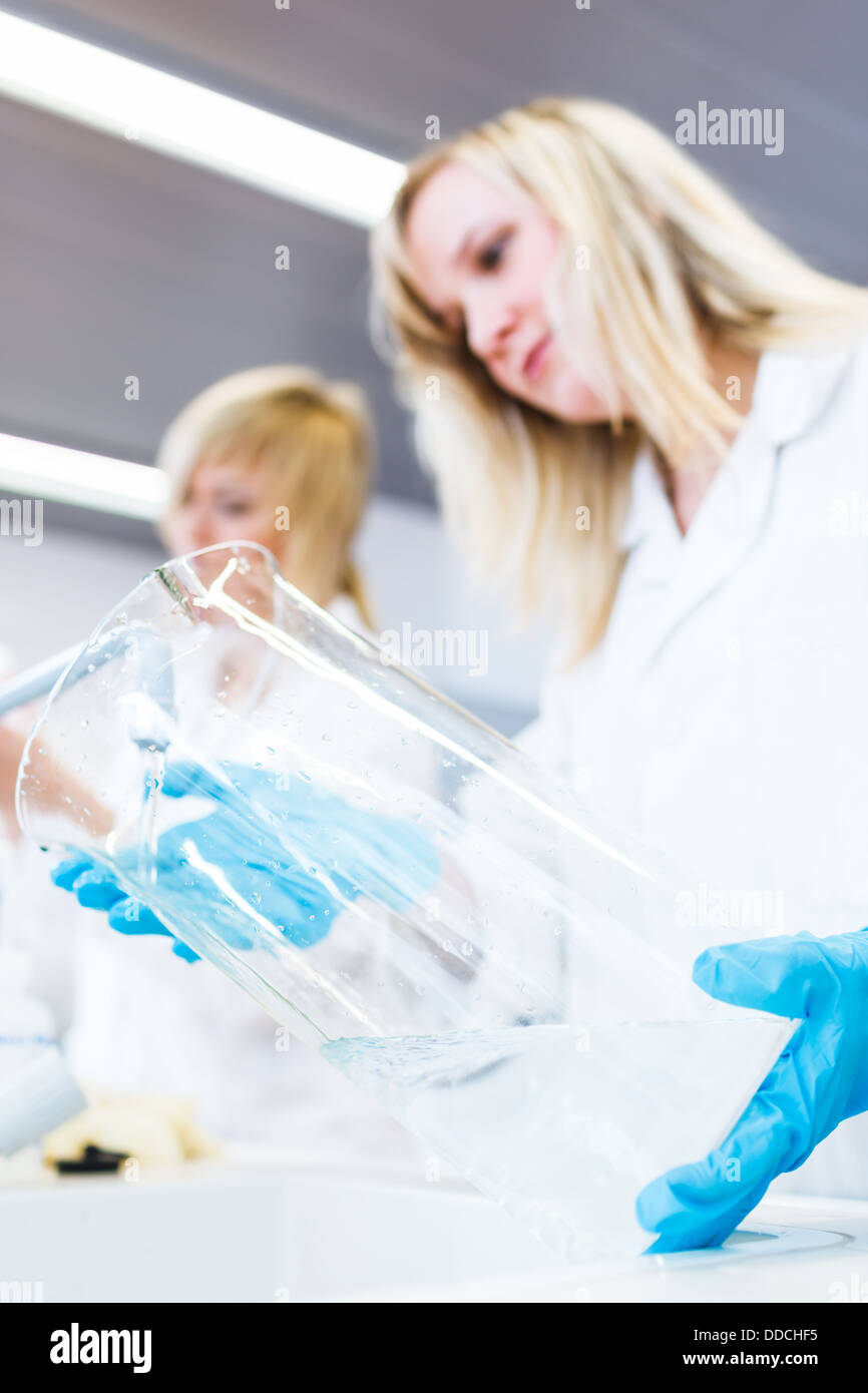 Two female researchers working in a laboratory Stock Photo - Alamy