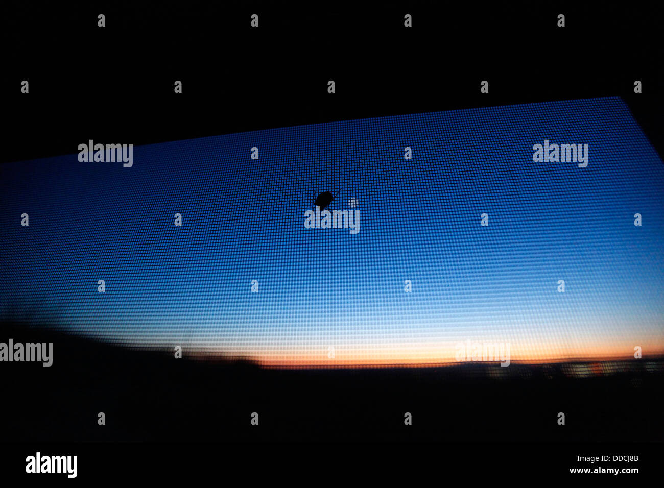 Beetle sunset screen bug hi-res stock photography and images - Alamy