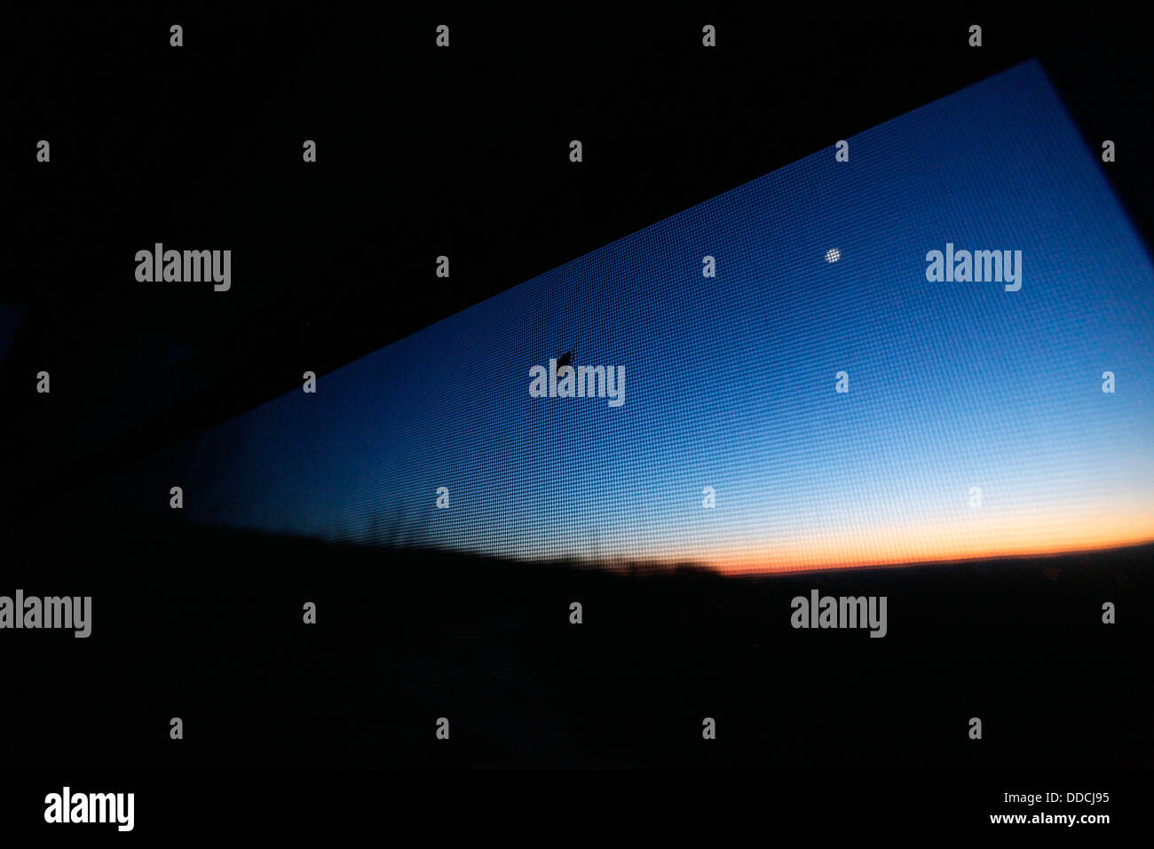 Beetle sunset screen bug hi-res stock photography and images - Alamy
