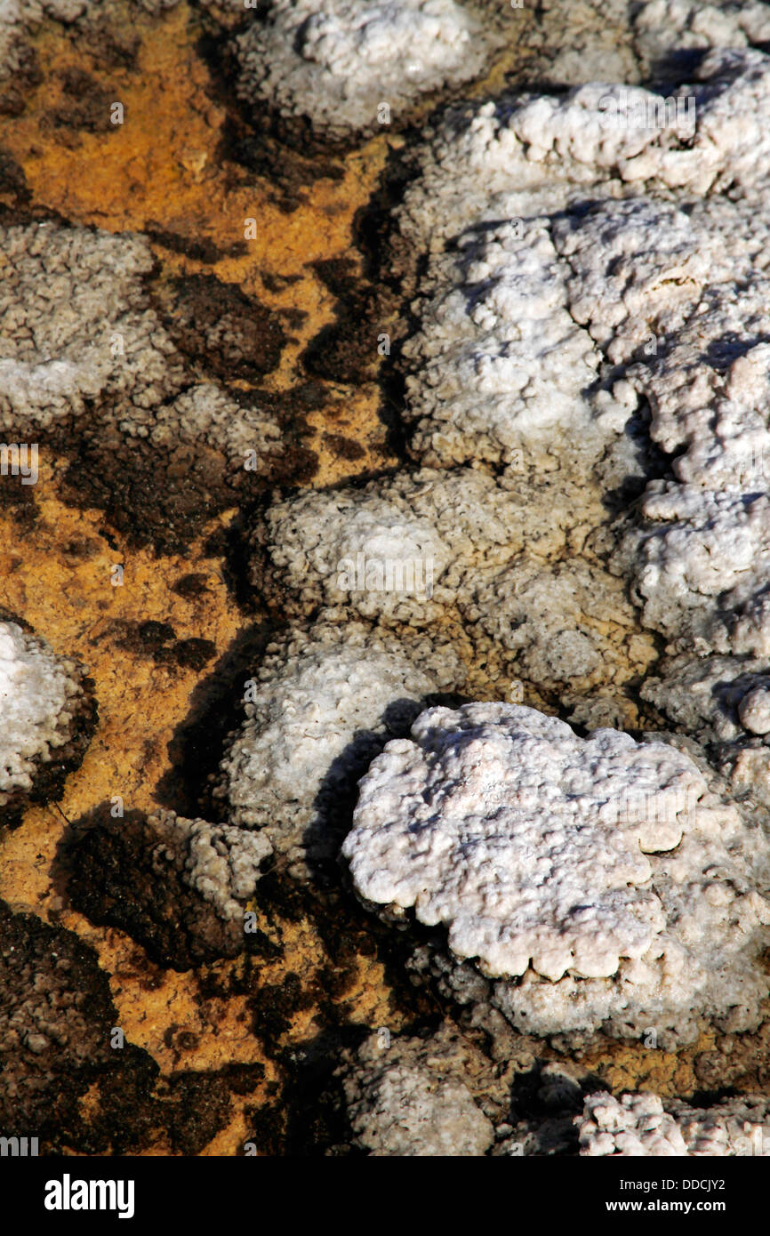 Death valley below sea level sign basin national park hi-res stock ...
