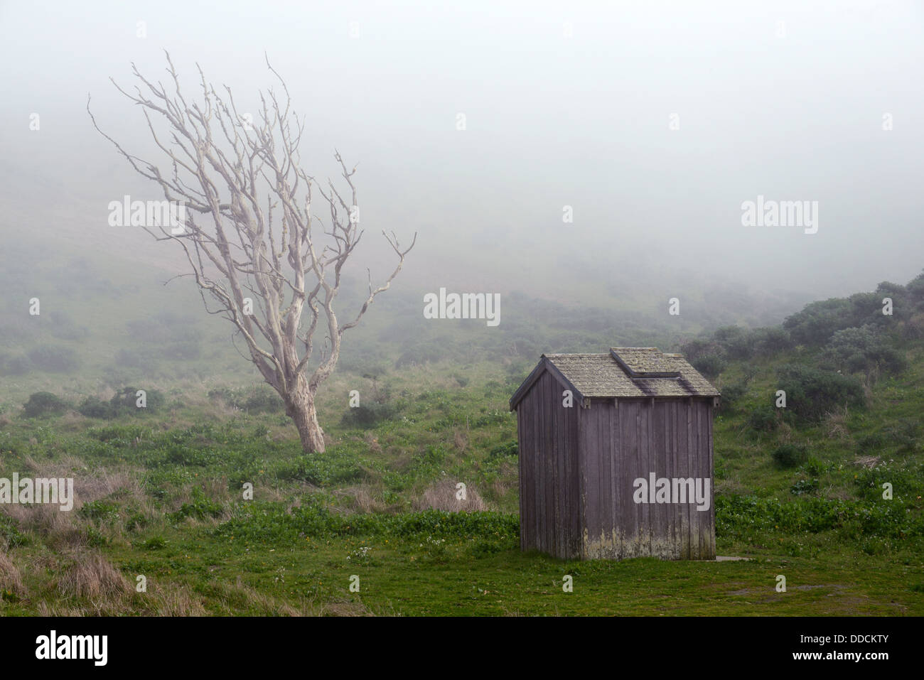 Very foggy dense fog conditions weather point reyes national seashore ...