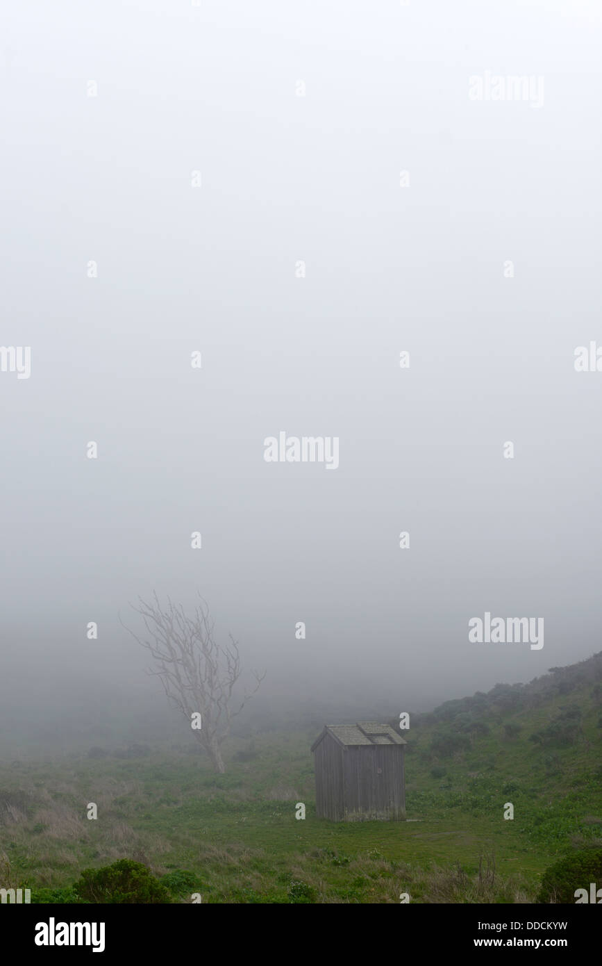 Very foggy dense fog conditions weather point reyes national seashore ...