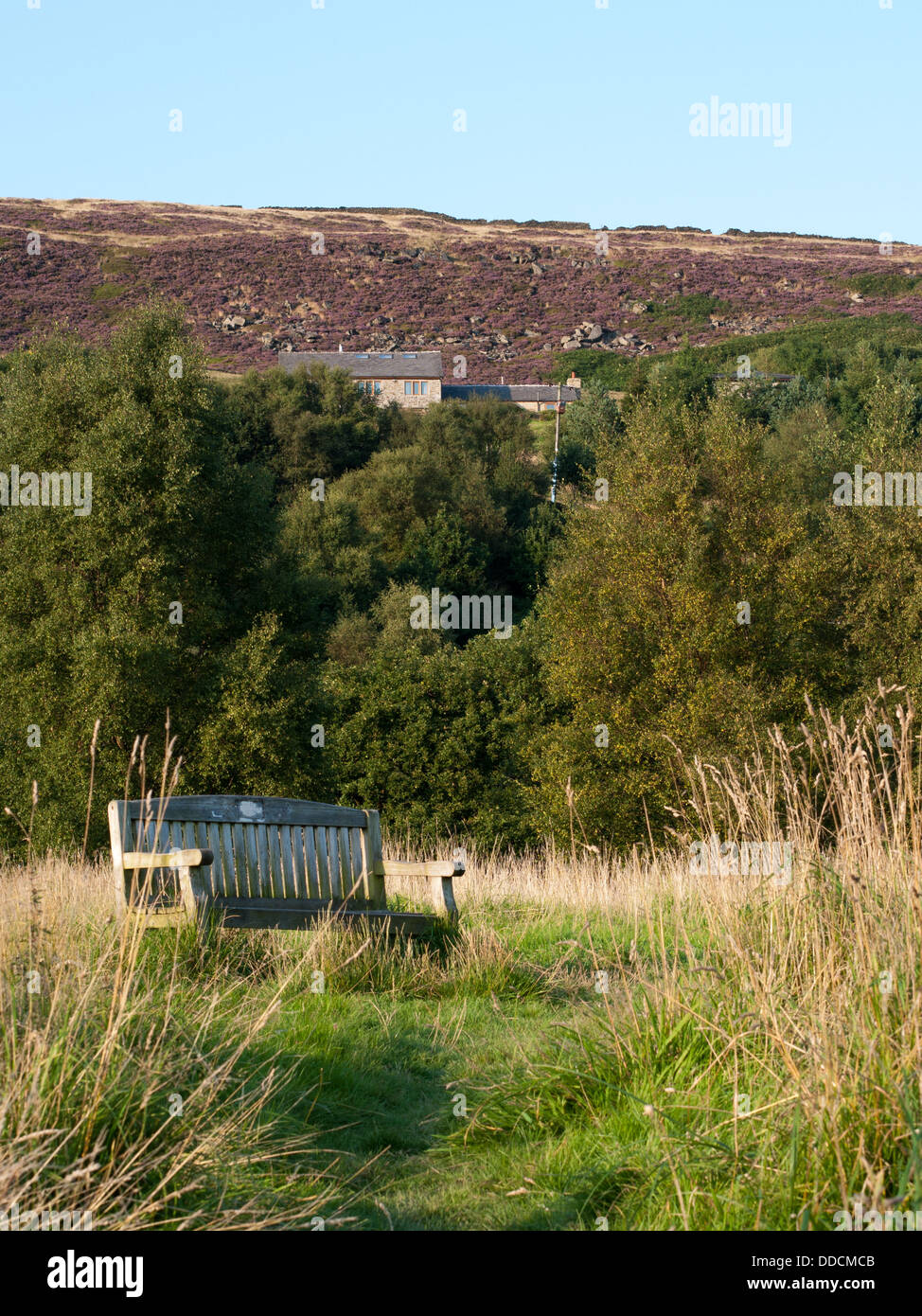 Bench in countryside in summer Stock Photo - Alamy