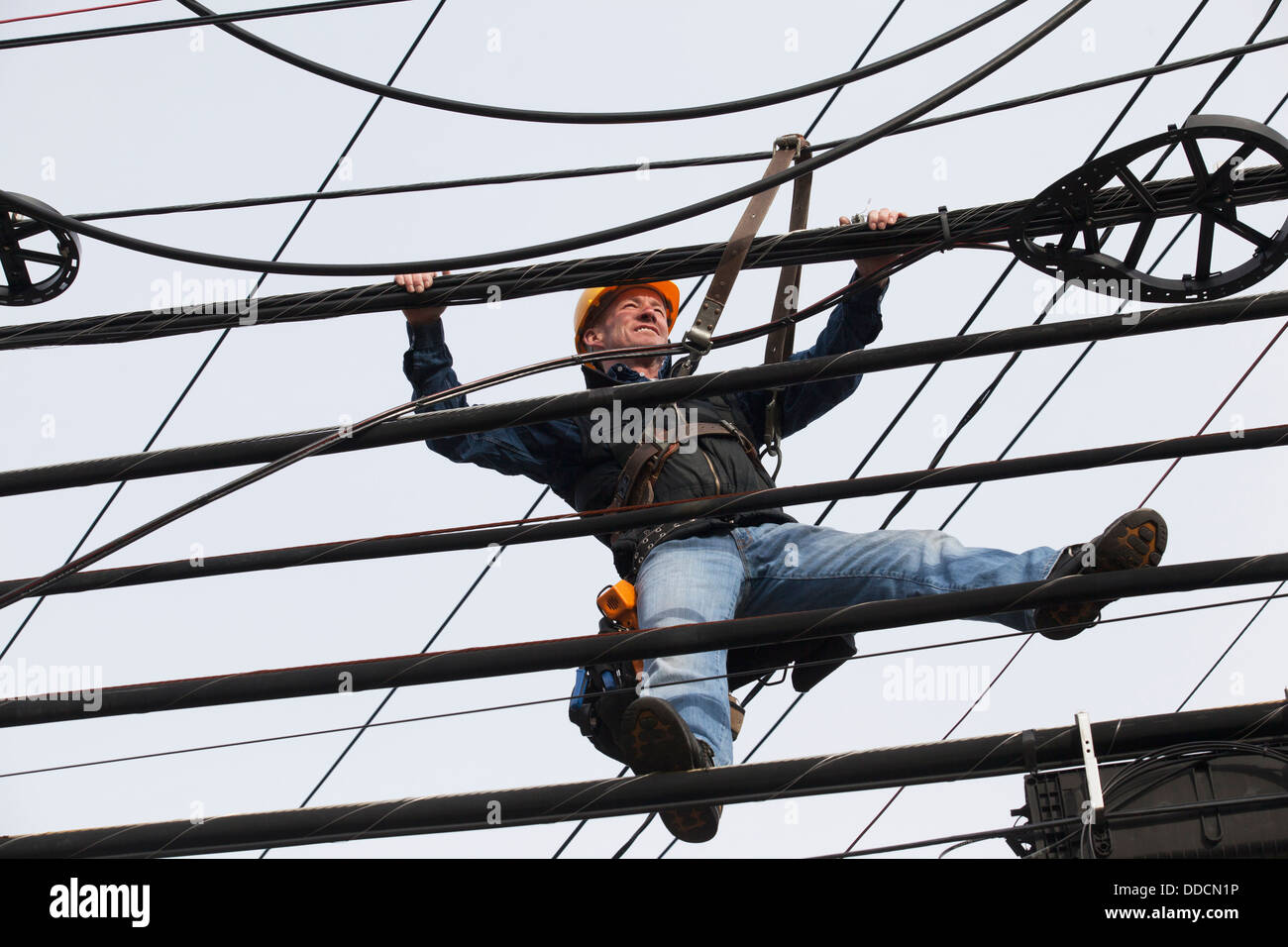 Communications worker adding cables to a bundle Stock Photo - Alamy