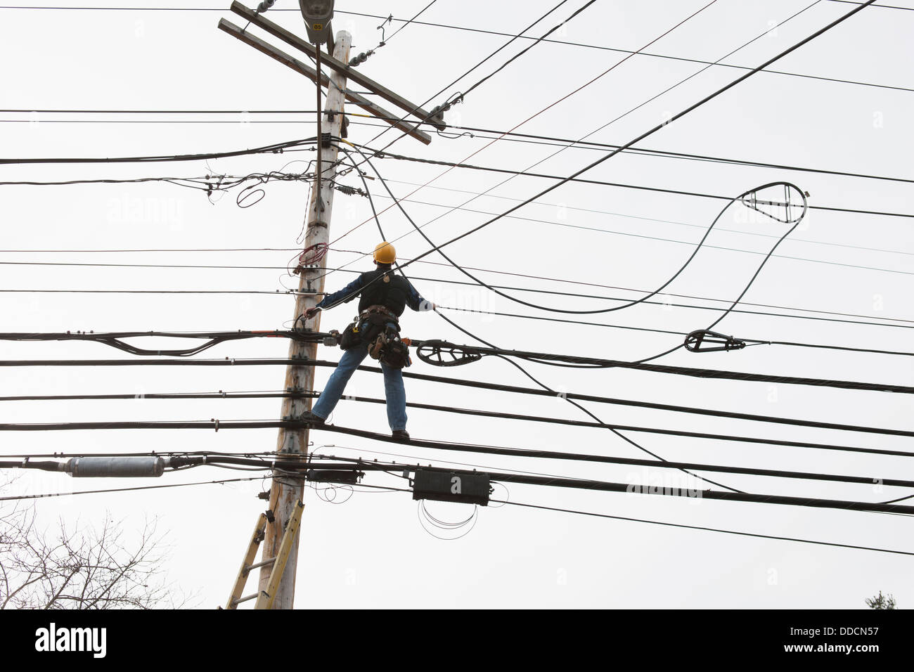 Communications worker on a power pole installing new cable to existing ...