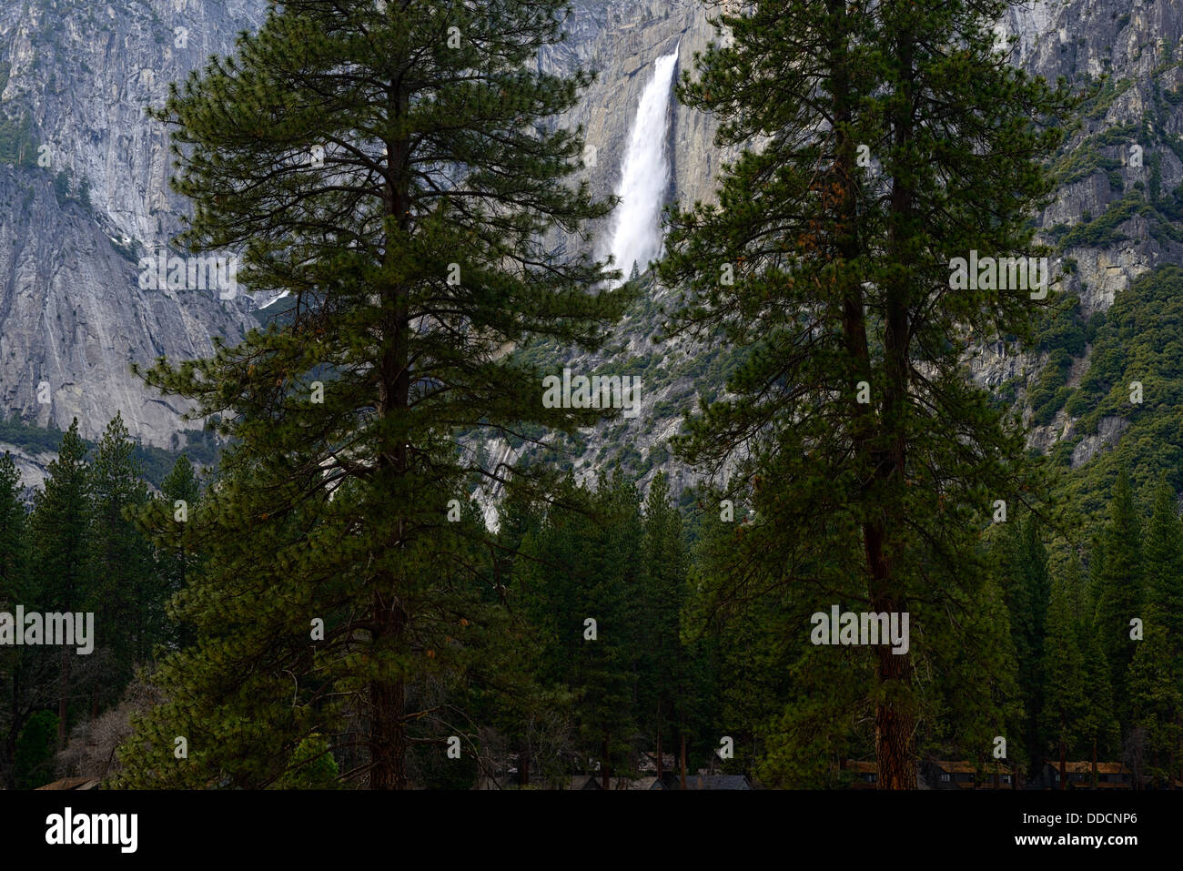 upper yosemite falls wispy waterfall appearance yosemite national park ...