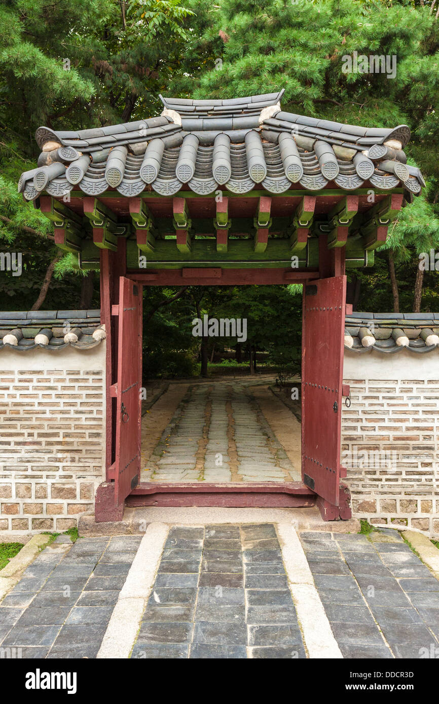 Korean pine trees hi-res stock photography and images - Alamy