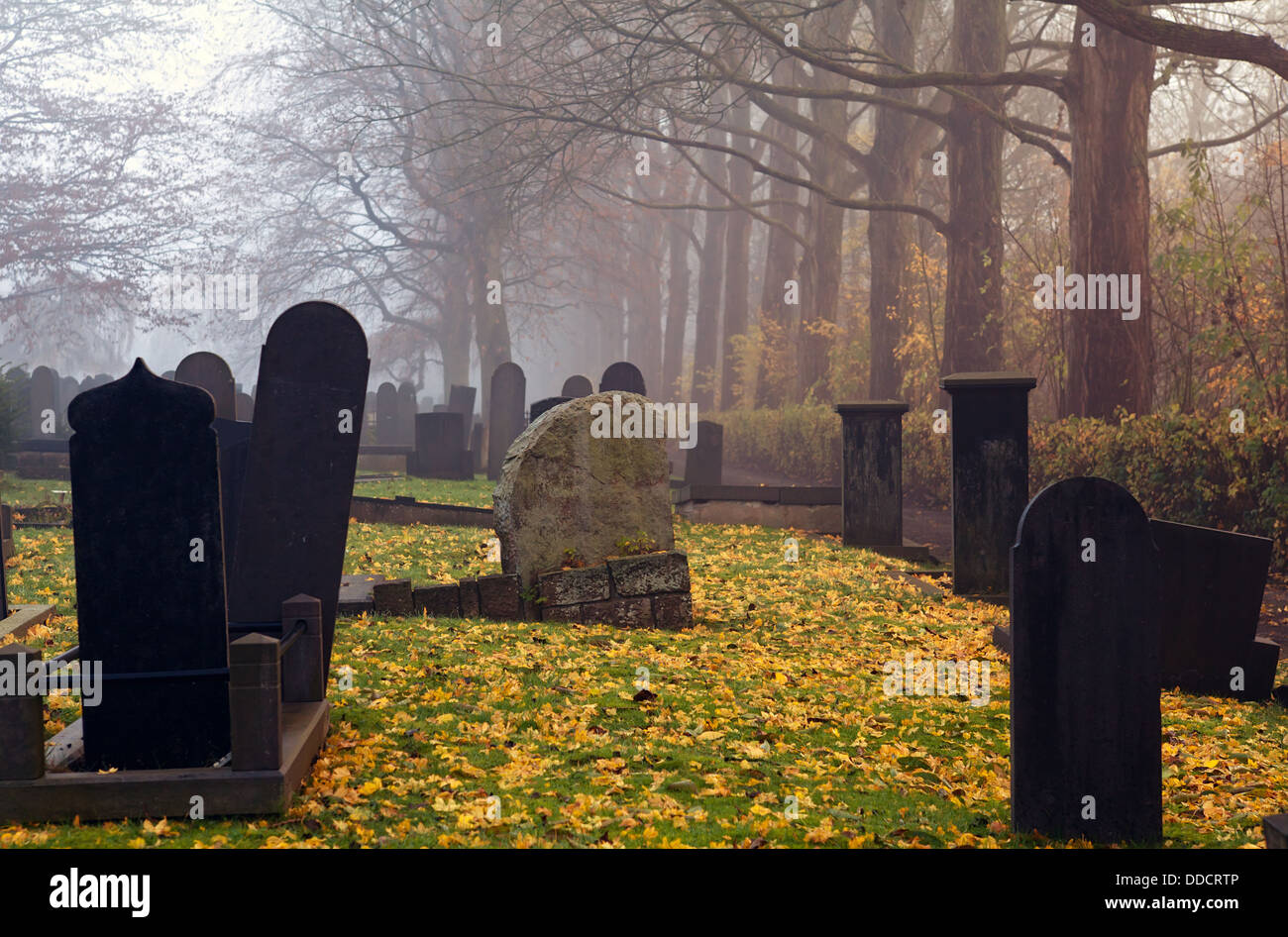 Fog cemetery hi-res stock photography and images - Alamy