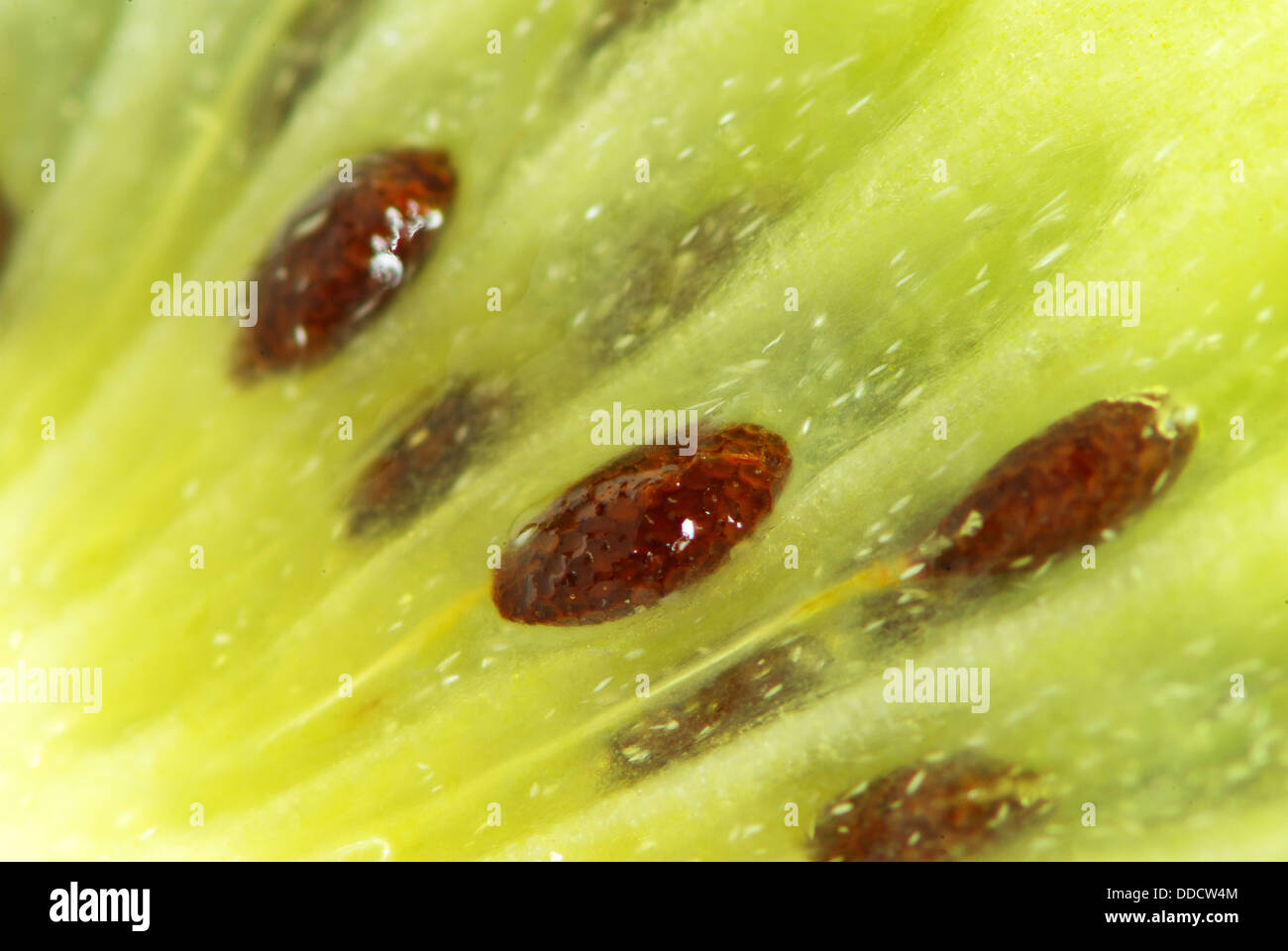 Fuzz fruits hi-res stock photography and images - Alamy