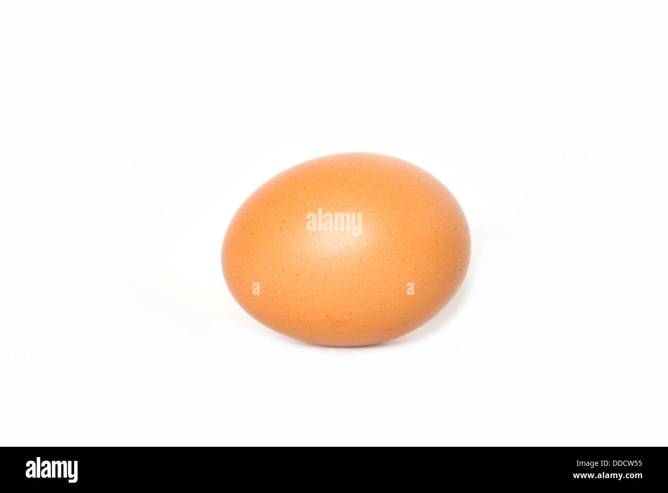 One egg isolated hi-res stock photography and images - Alamy