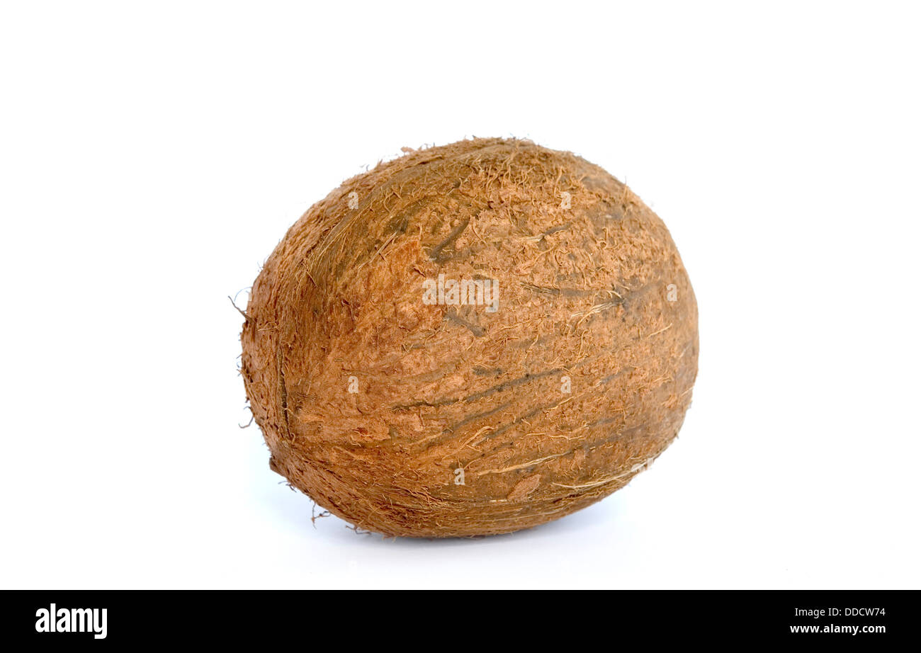 Coconut husk fiber hi-res stock photography and images - Alamy