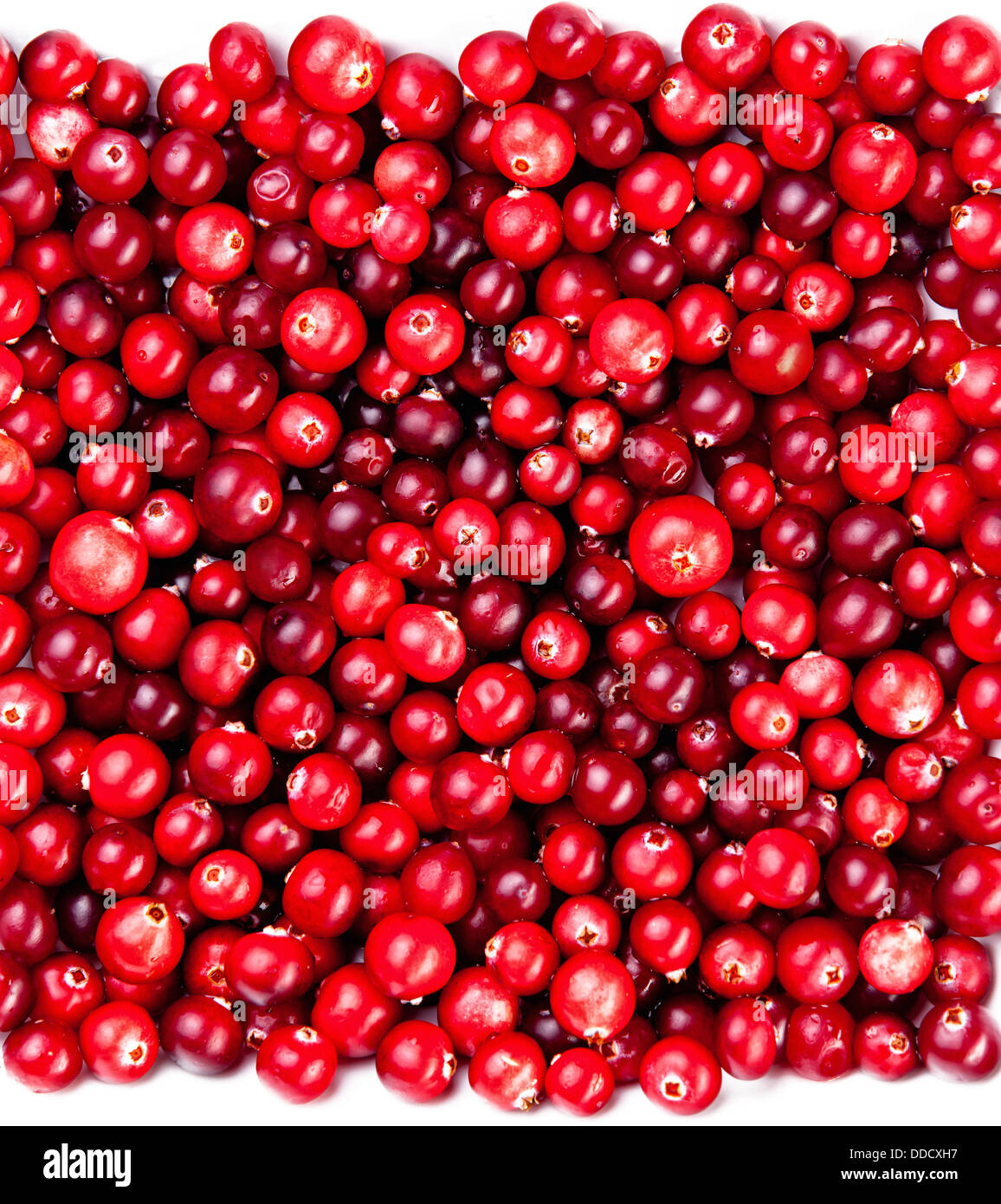 Red ripe cranberries background Stock Photo - Alamy