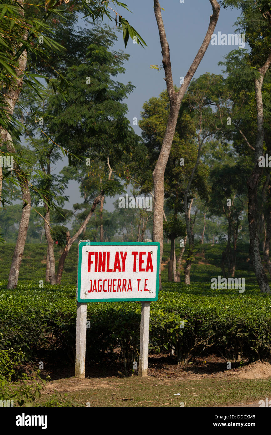 A sign painted by hand directs vistors for the Finlay tea company in ...