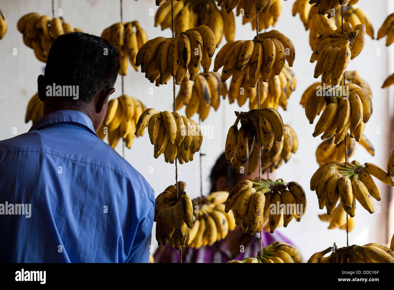 Fruit stall in bangladesh hi-res stock photography and images - Alamy