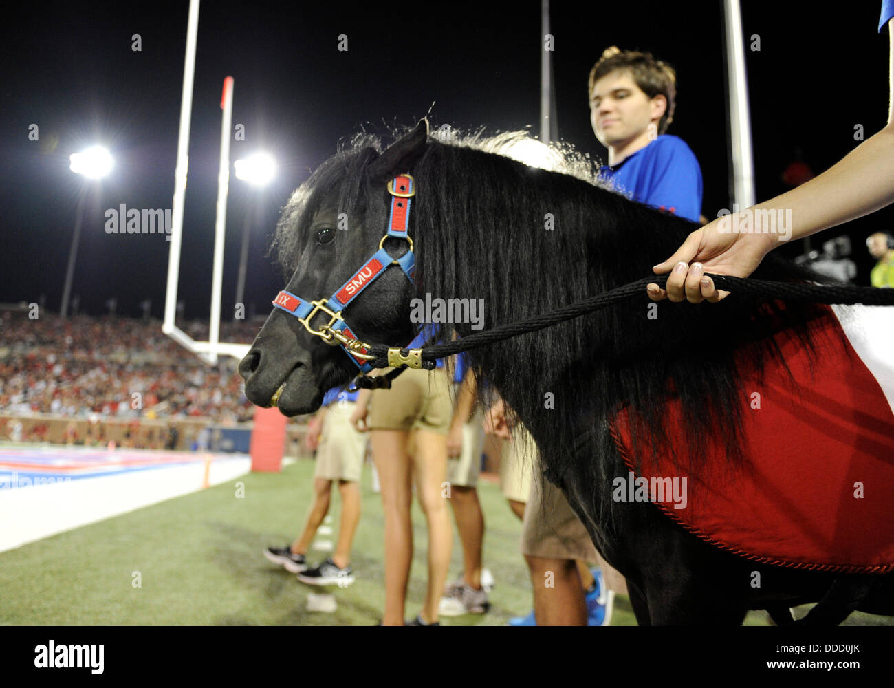 University Park, TX, USA. 30th Aug, 2013. SMU mascot Peruna during an ...