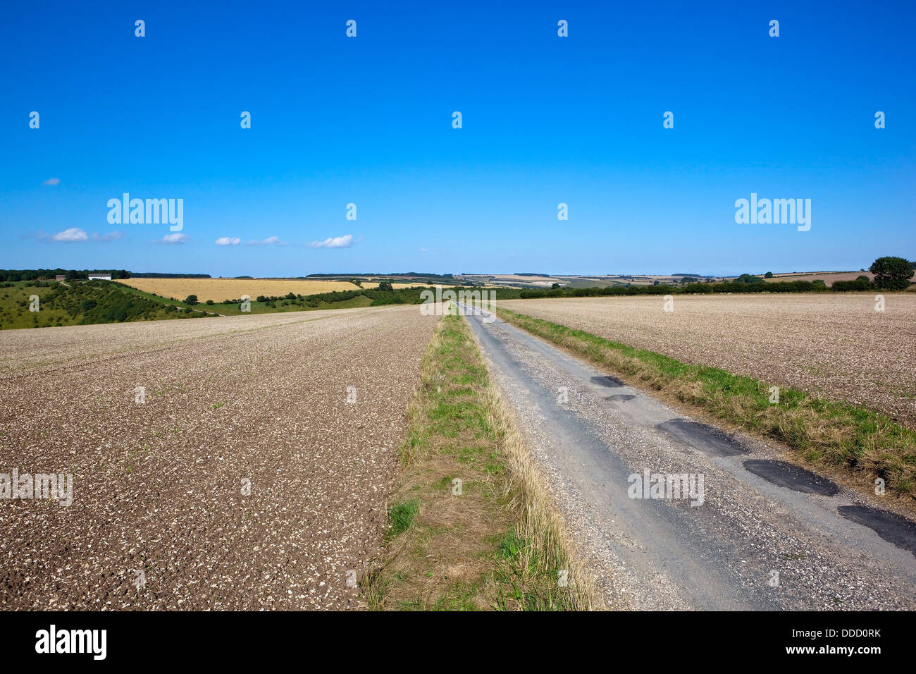 A small country road running through chalky cultivated fields in ...