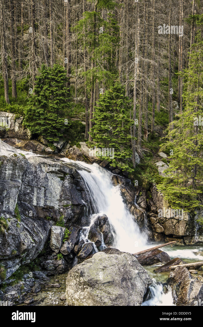 Waterfalls in mountains - Slovakia Stock Photo - Alamy